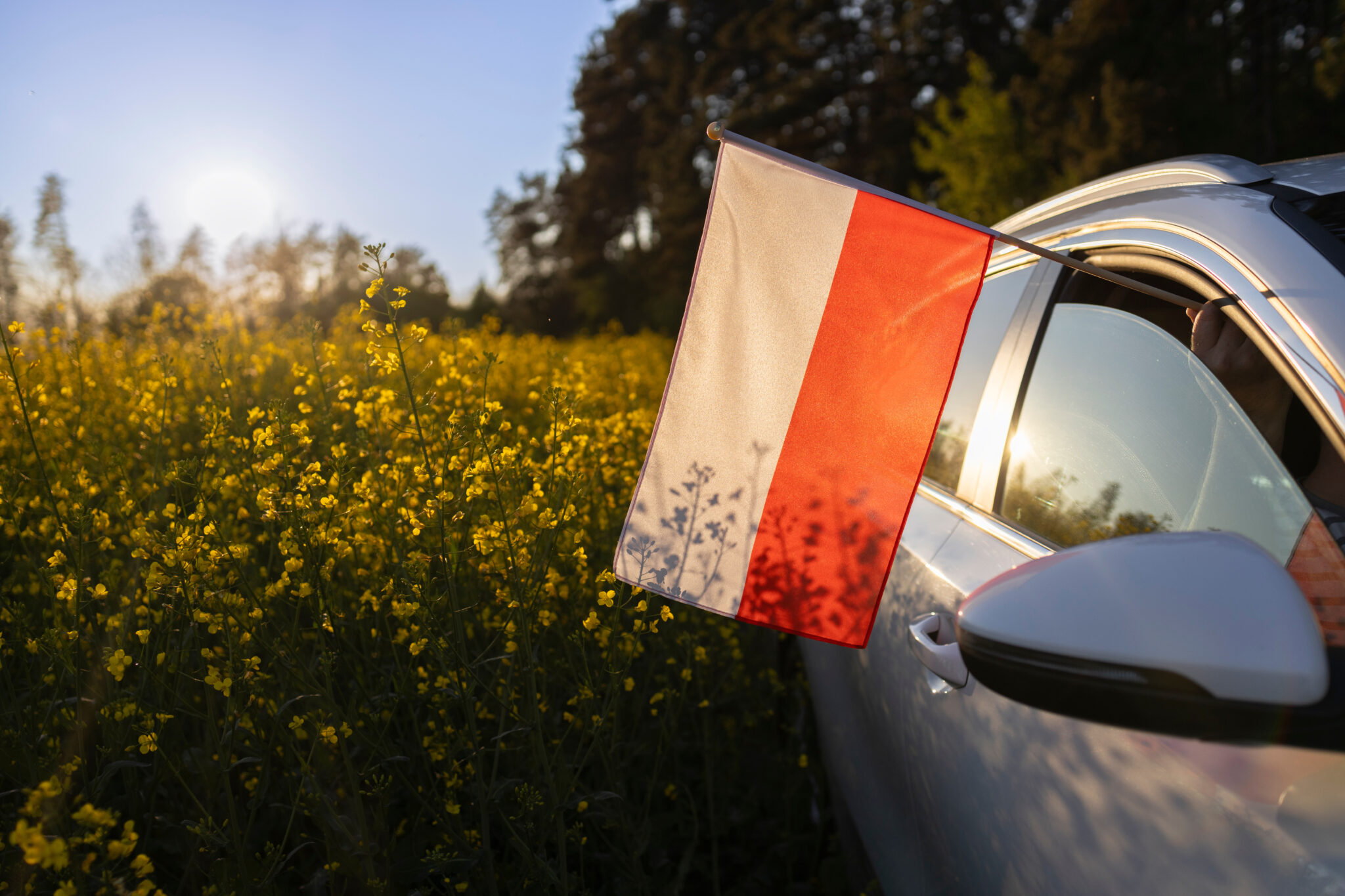 Polish Road Rules and Regulations | Cover4Rentals